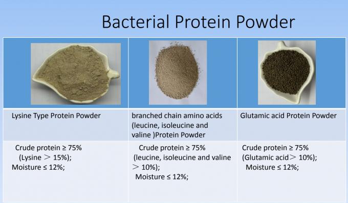 OEM Complex Probiotic Preparation Swine Feed Additives Organic Animal Feed